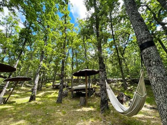 Lago de Sanabria: qué hacer y dónde dormir - Sinmapa
